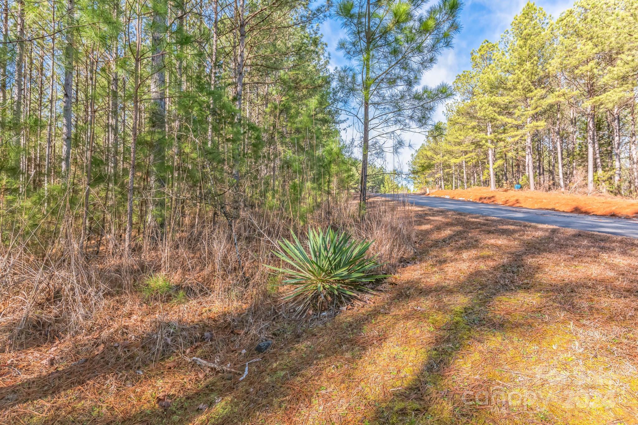 Mooresboro, NC Lot for Sale | CAR4110609 | Caruso Homes