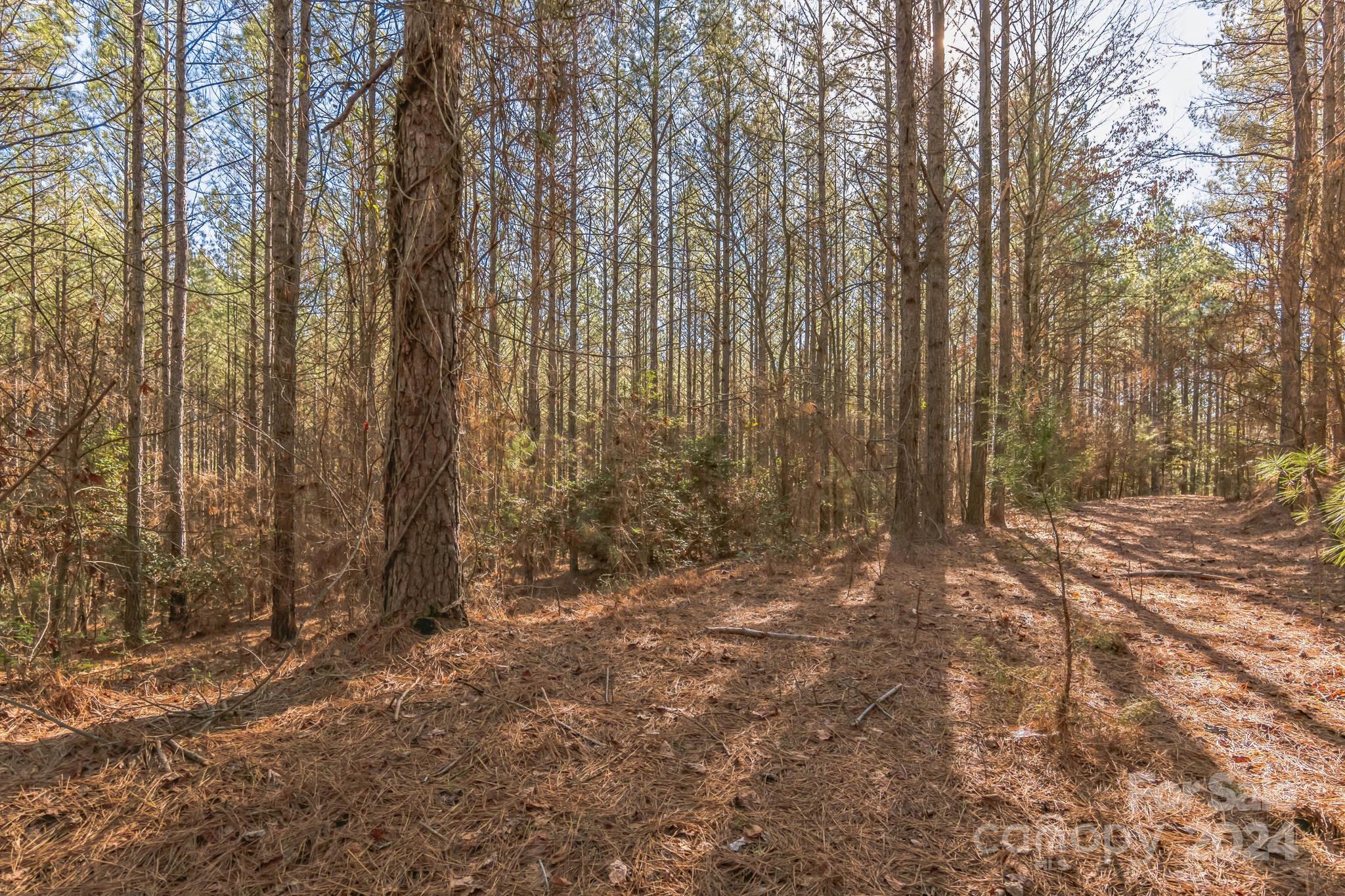 Mooresboro, NC Lot for Sale | CAR4111268 | Caruso Homes