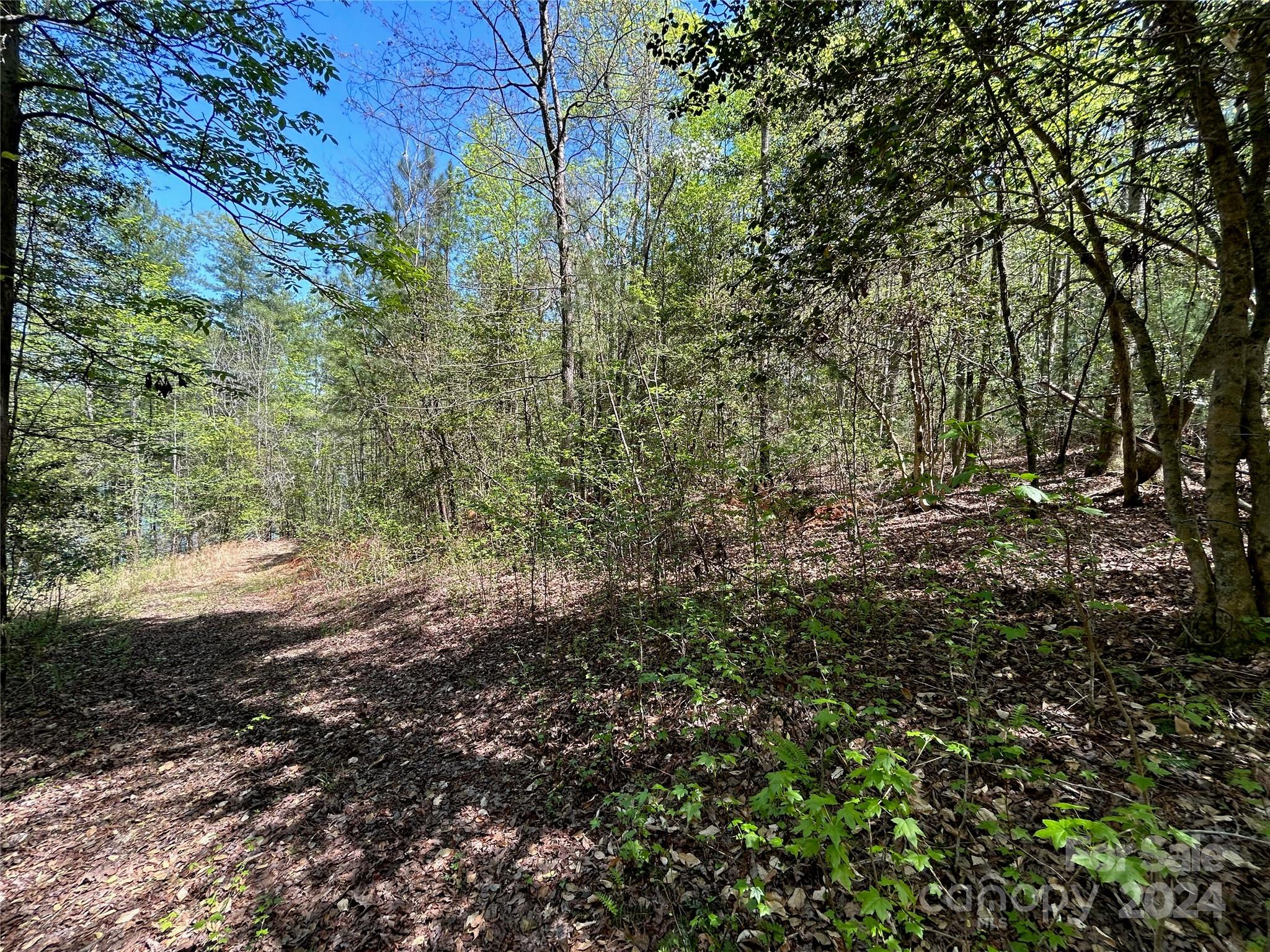 Connelly Springs, NC Lot for Sale | CAR4129299 | Caruso Homes
