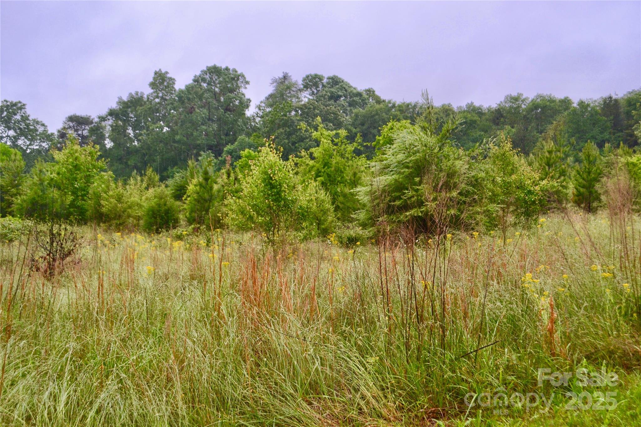 Forest City, NC Lot for Sale | CAR4257485 | Caruso Homes