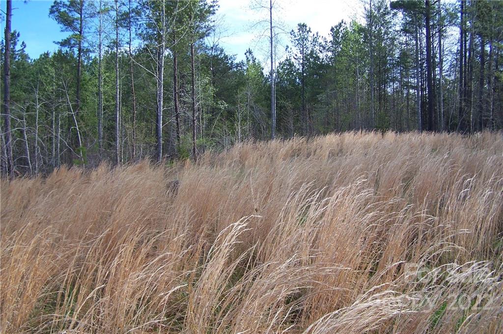 Mill Spring, NC Lot for Sale | CAR3819650 | Caruso Homes