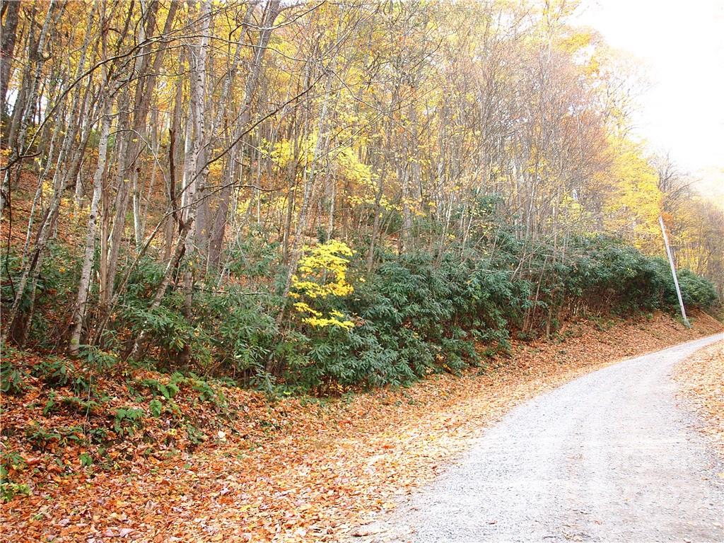 Waynesville Cars For Sale at Caitlyn Tooth blog