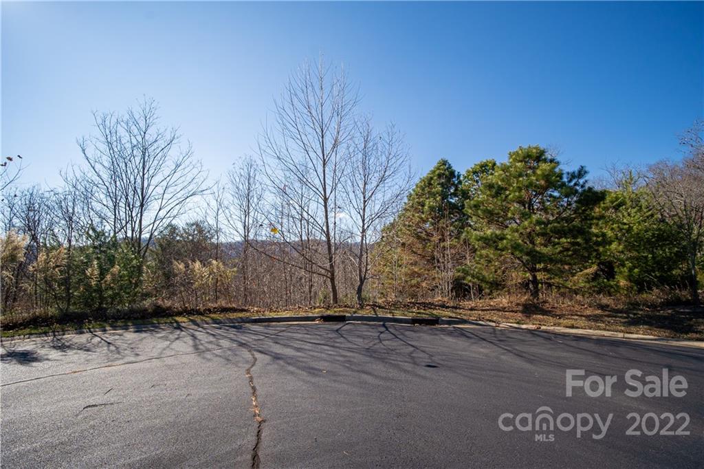 Horse Shoe, NC Lot for Sale | CAR3923793 | Caruso Homes