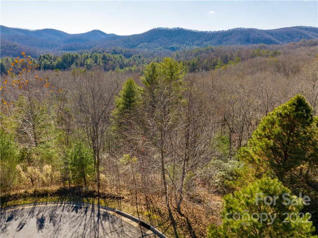 Horse Shoe, NC Lot for Sale | CAR3923793 | Caruso Homes